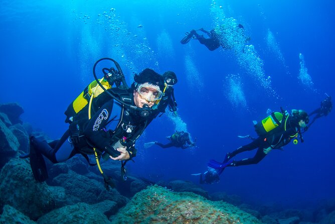 Guided Immersion from Santa Cruz de Tenerife - The Itinerary Breakdown: What To Expect