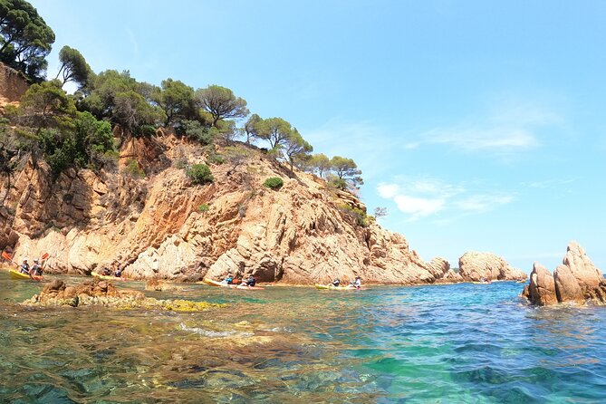 Guided Kayak & Snorkel tour to Costa Brava: Small Group and Lunch - Why This Tour Offers Great Value