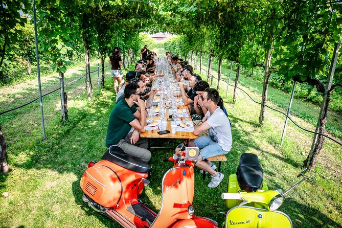 Guided Tour and wine tasting 5 wines to discover the Conegliano Valdobbiadene
