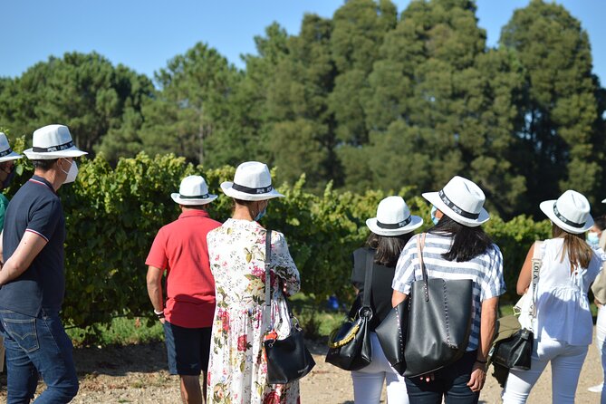 Guided Winery tour and Wine tasting in Pontevedra - What You Can Expect During the Tour