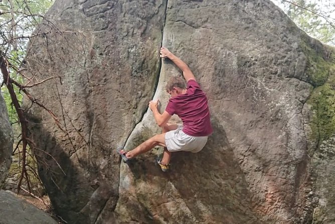 Half-Day Bouldering in Fontainebleau