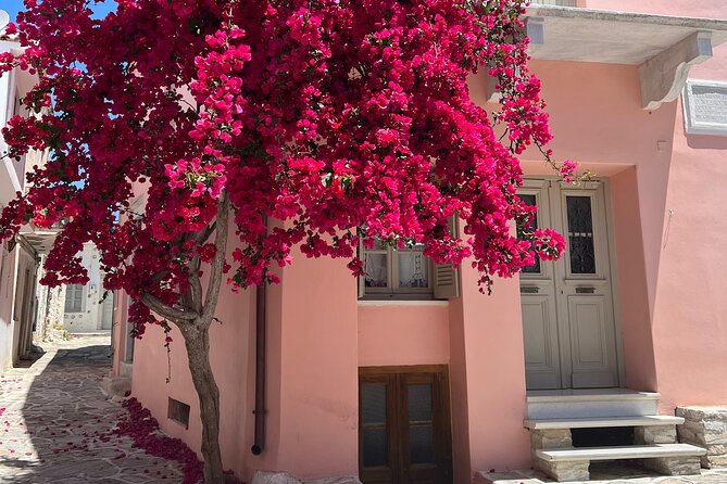 Half Day Naxos Village Private Tour - Why This Tour Works: A Balanced Blend of Culture and Scenery