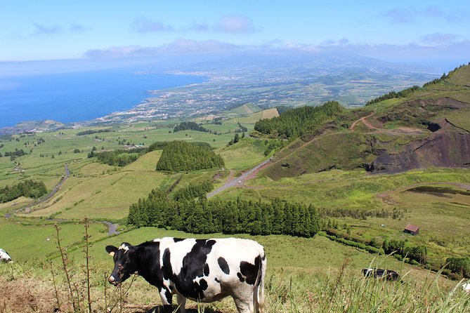 Half Day Sete Cidades PRIVATE Jeep Tour - Value and Practicalities