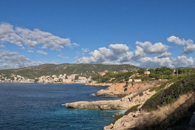 Half Day Trike Tour from Paguera - Who Will Love This Tour?