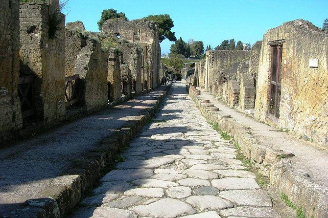 Herculaneum Ruins Private Half-Day Tour - Who Benefits Most?