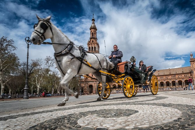 Horse and Carriage Sightseeing Tour in Seville - Who Will Love This Tour?