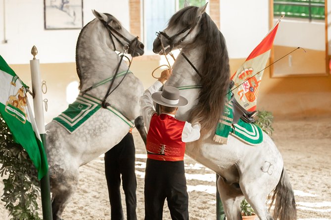 Horse and Flamenco Show in Malaga - The Show Itself: What to Expect