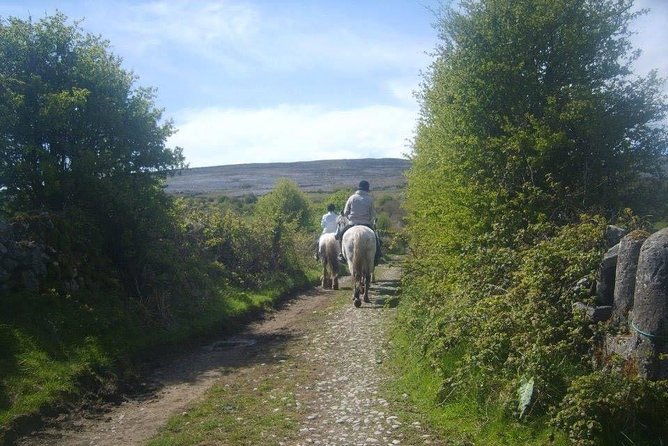 Horse riding - Burren Trail. Lisdoonvarna, Co Clare. Guided. 3 hours.