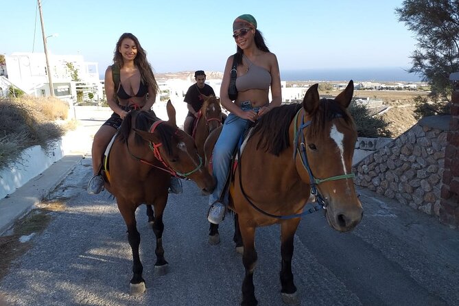 Horse Riding--Explore secret Thera - Horses and Equipment