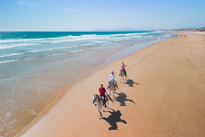 Horseback Riding, 4 Options-Mountain, Lesson Ring, Beach (2Hours)