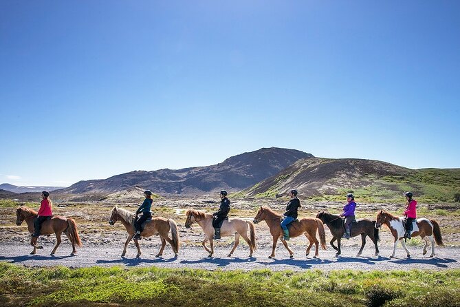 Horseback Riding Tour in Iceland - Who Will Love This Tour