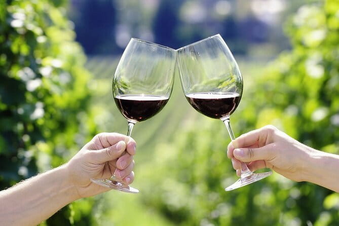 Horseback Riding with Wine Tour from Florence - The Itinerary in Detail