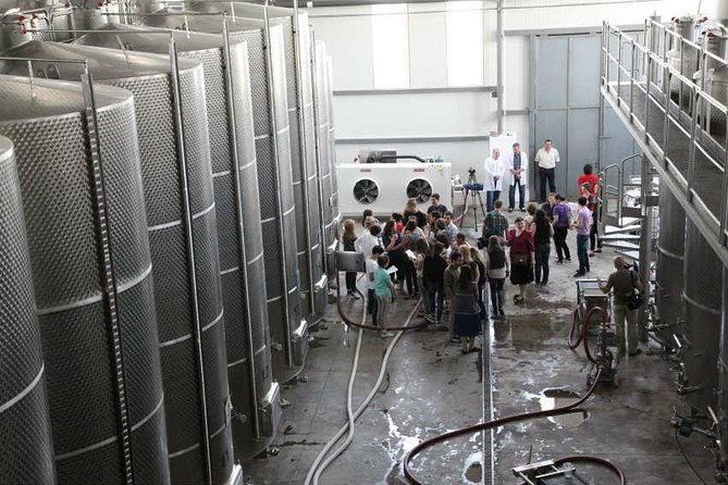 Kakheti Wine & Sighnaghi Private Tour from Tbilisi - What Makes This Tour Stand Out?