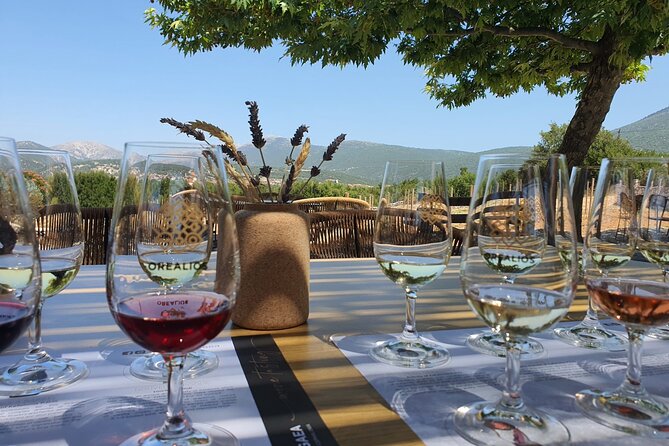 Kefalonia Wine Adventure in 3 Wineries With Tastings