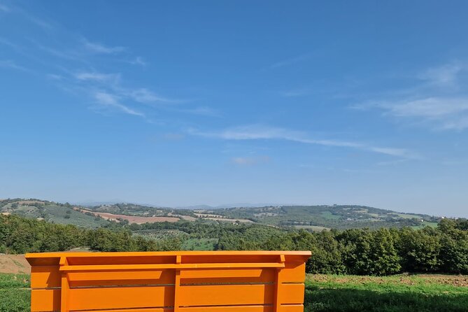 La Maliosa Farm Experience & Wine Tasting