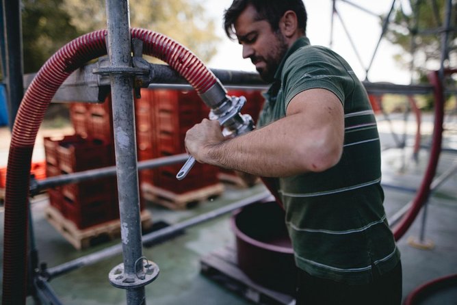 Lake Garda wine tasting: Pinot Noir & tortellini in a Medieval Village - Authenticity and Reader Reviews