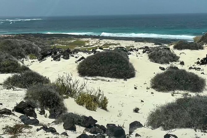 Lanzarote: Private island Grand Tour - Beach Time and Lunch at Caleta de Famara