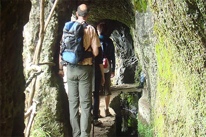 Laurissilva Forest Walk - The Practicalities and Value