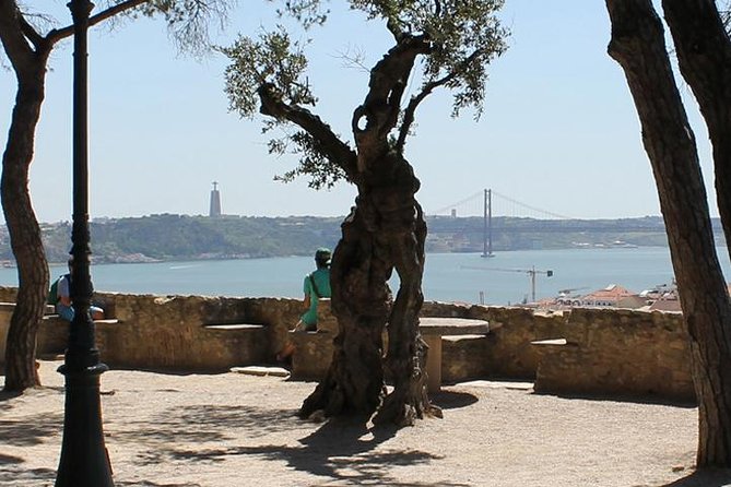 Lisbon Highlights Walking Tour - Who Should Consider This Tour?