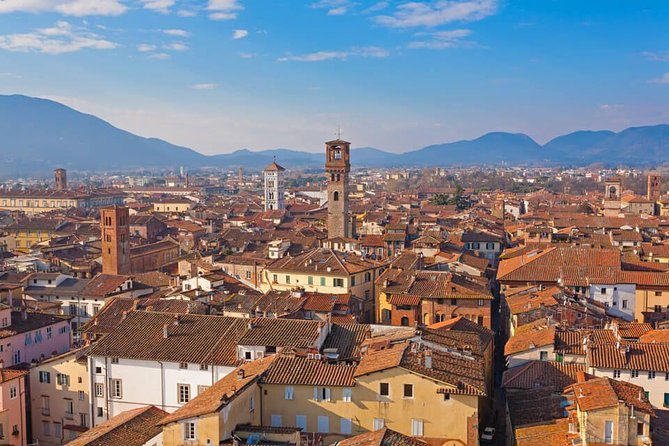 Livorno Shore Excursion: Pisa, Lucca and wine experience Private Day Trip