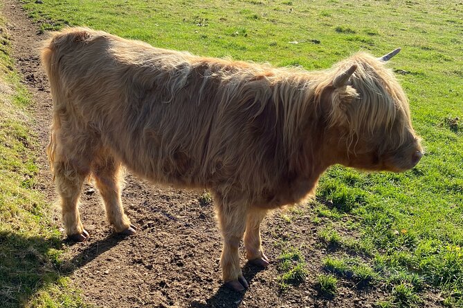 loch Ness, Clava Cairns, Culloden, COO,S, DRAMS & Outlander sites - Why Travelers Love This Tour