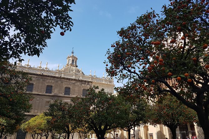 Luggage Room in Seville City Centre - In-Depth Look at the Experience