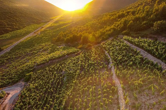 Luxury private transfer Split - Dubrovnik with lunch in Ston - The Lunch Experience: A Taste of Local Flavors