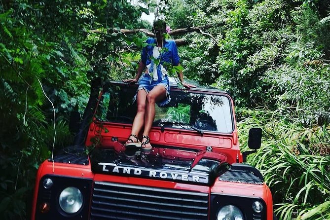 Madeira Jeep 4x4: Old Forest Full-Day Tour incl Pico Arieiro - What Makes This Tour Valuable?