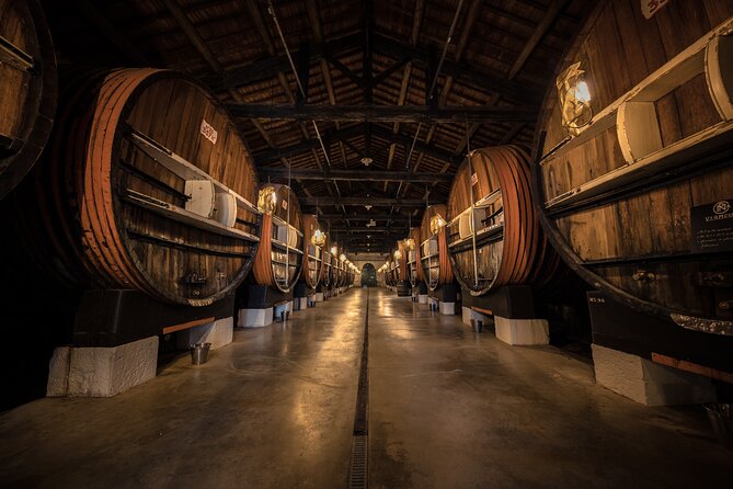Maison Noilly Prat VIP tour, wine and vermouth tastings