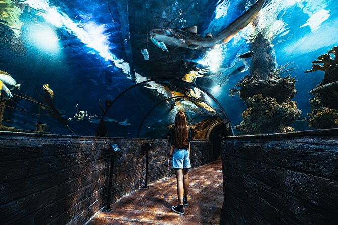 Malta National Aquarium Entrance Ticket - A Closer Look at the Malta National Aquarium