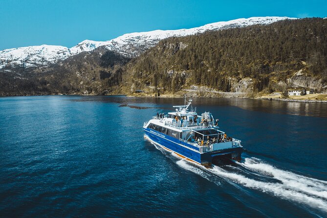 Mostraumen Fjord Cruise - Who Might Want More?