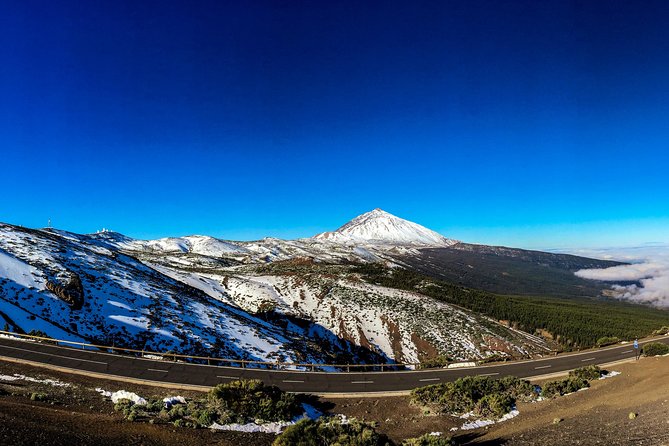 Mount Teide and Tenerife North with 5 Course Tasting Menu Private Tour - Analyzing the Value and Practicalities