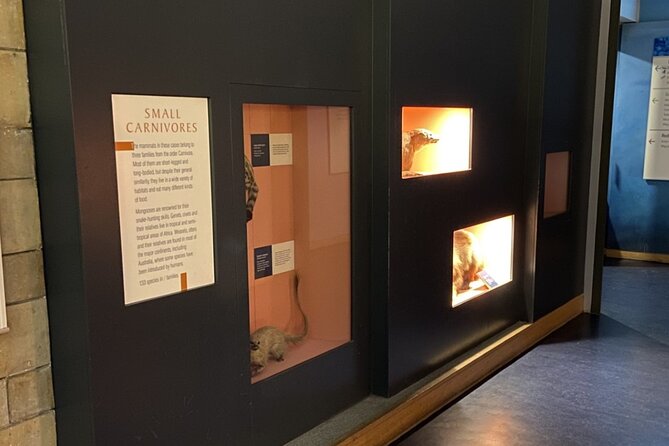 Natural History Museum Self-guided Tour for Kids in English - A Deep Dive into the Itinerary