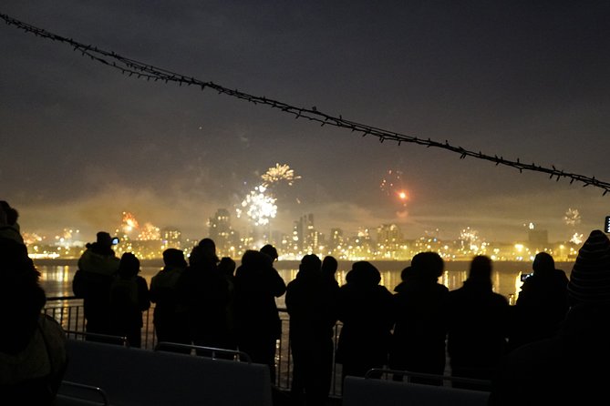 New Year's Eve Fireworks Cruise in Reykjavik - Considerations and Potential Drawbacks