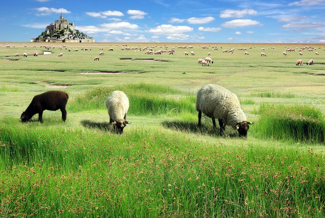 Normandy and Loire 3 Days Trip with Mont Saint Michel from Paris