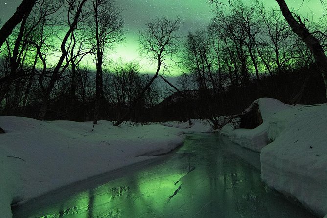 Northern Lights by Minibus. Photos Under the Lights included. Tromso