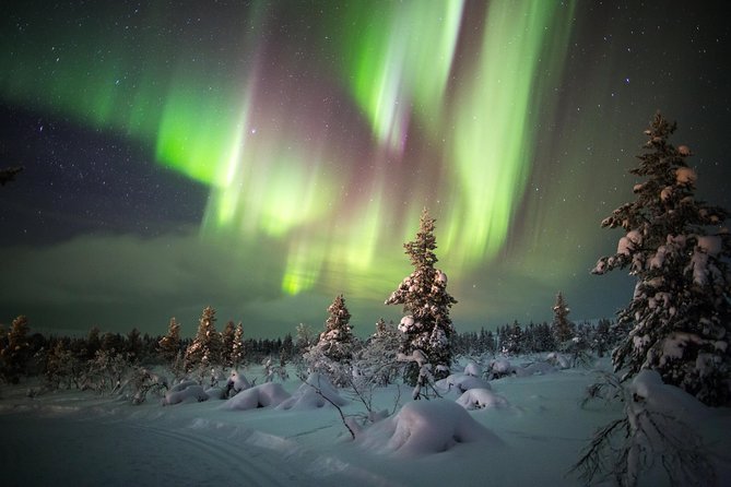 Northern Lights Hunting with Snowmobiles - An Up-Close Look at the Tour Experience
