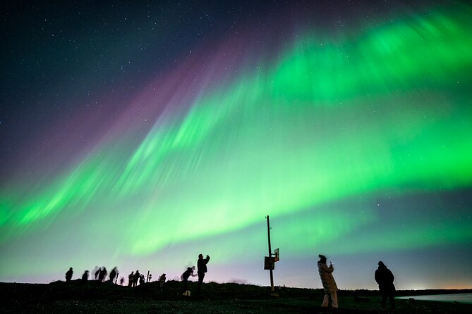 Northern Lights Small Group Tour from Reykjavik - Who Would Love This Tour?