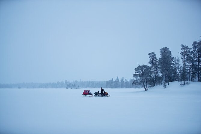 Northern Lights Snowmobile Sledge Ride in Rovaniemi - The Overall Value and Pricing