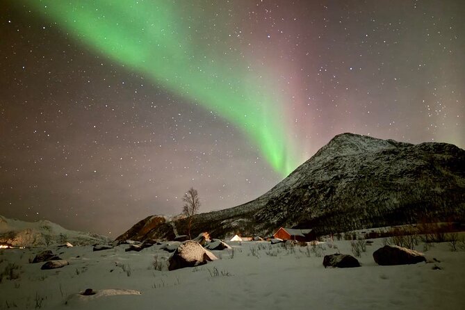 Northern Lights Tour with Hot Food and Drinks in Tromso