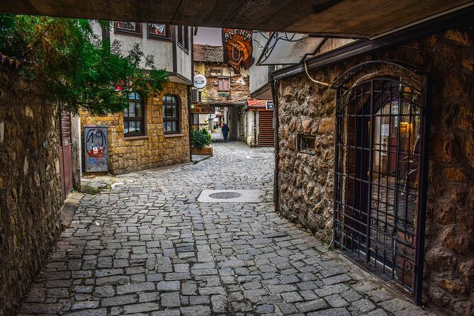 Ohrid city and lake tour - from Skopje
