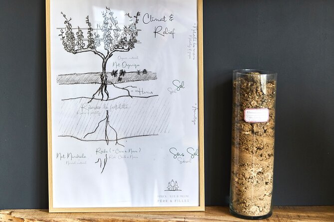 OP1 Tasting of three Champagnes in Cramant - Authentic Experiences and Genuine Value