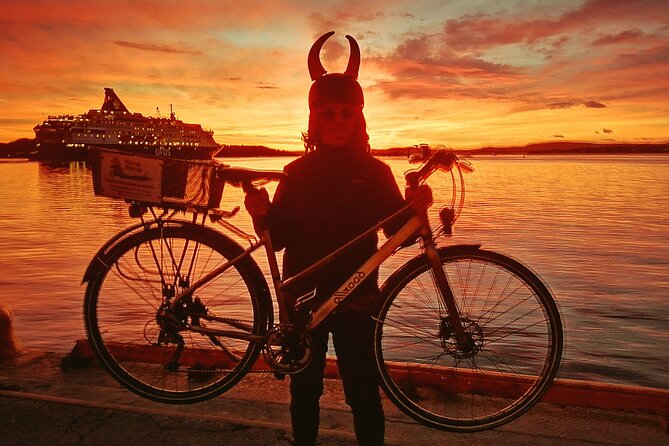 Oslo Winter Highlights Bike Tour