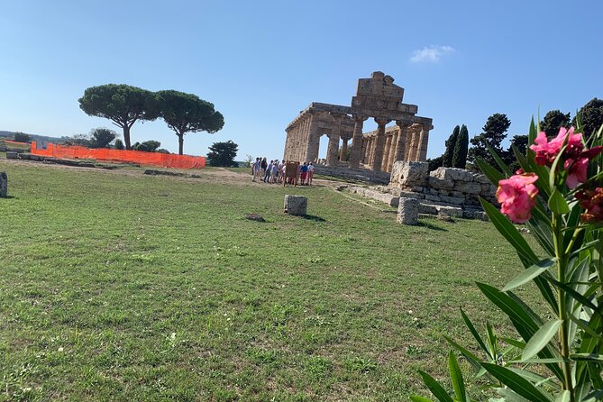 Paestum Private Tour from Naples - Why This Tour Stands Out
