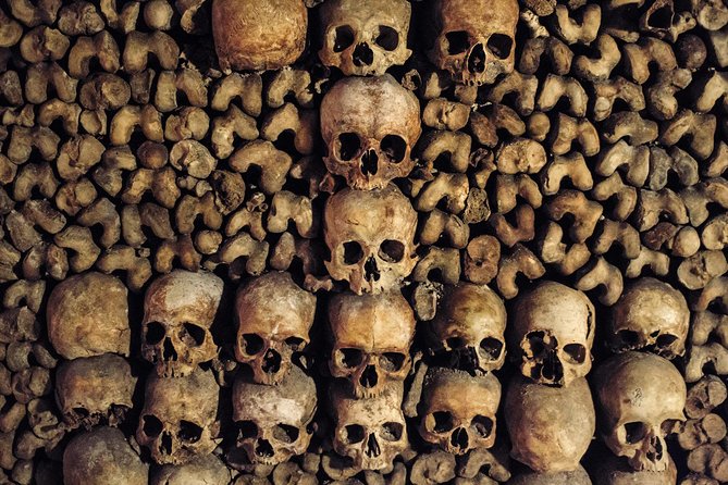 Paris Catacombs Tour - What Past Travelers Say