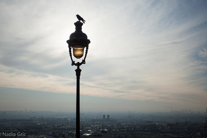 Paris Half Day Private Customized Walking Tour, Transport Options - Frequently Asked Questions