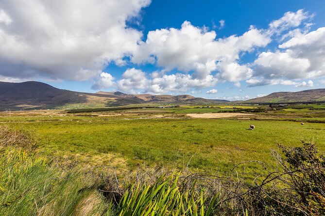 Personalized Full-Day Dingle Peninsula and Slea Head Drive Tour