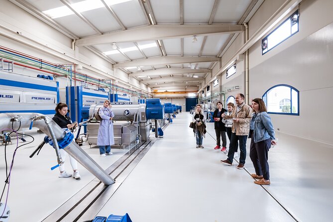 Picualia, visit the oil mill & EVOO tasting - Authenticity and Educational Focus
