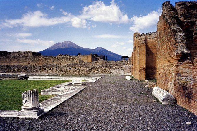 Pompeii and Mount Vesuvius Day Trip from Naples with Lunch - What Makes This Tour Stand Out