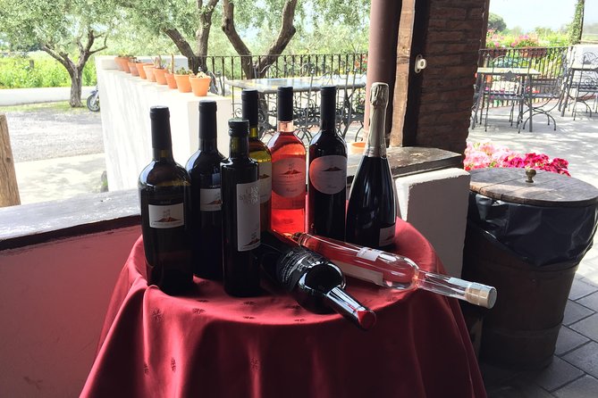 Pompeii-Wine tasting tour from Sorrento, licensed guide included - Exploring Pompeiis Highlights